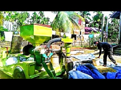 Selepan padi di pagi hari, mesin giling padi dor to dor.rice mill ...