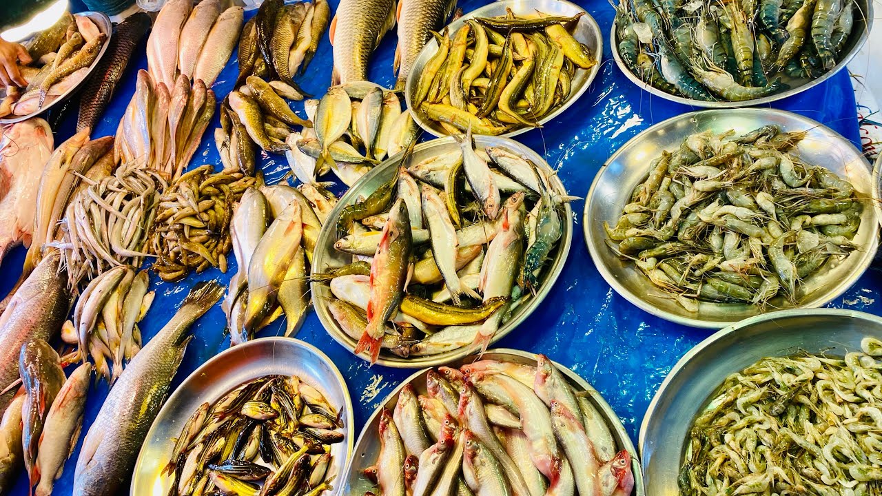 WONDERFUL BIG FISH MARKET | AMAZING DIFFERENT FISH MARKET | FISH TANK ...