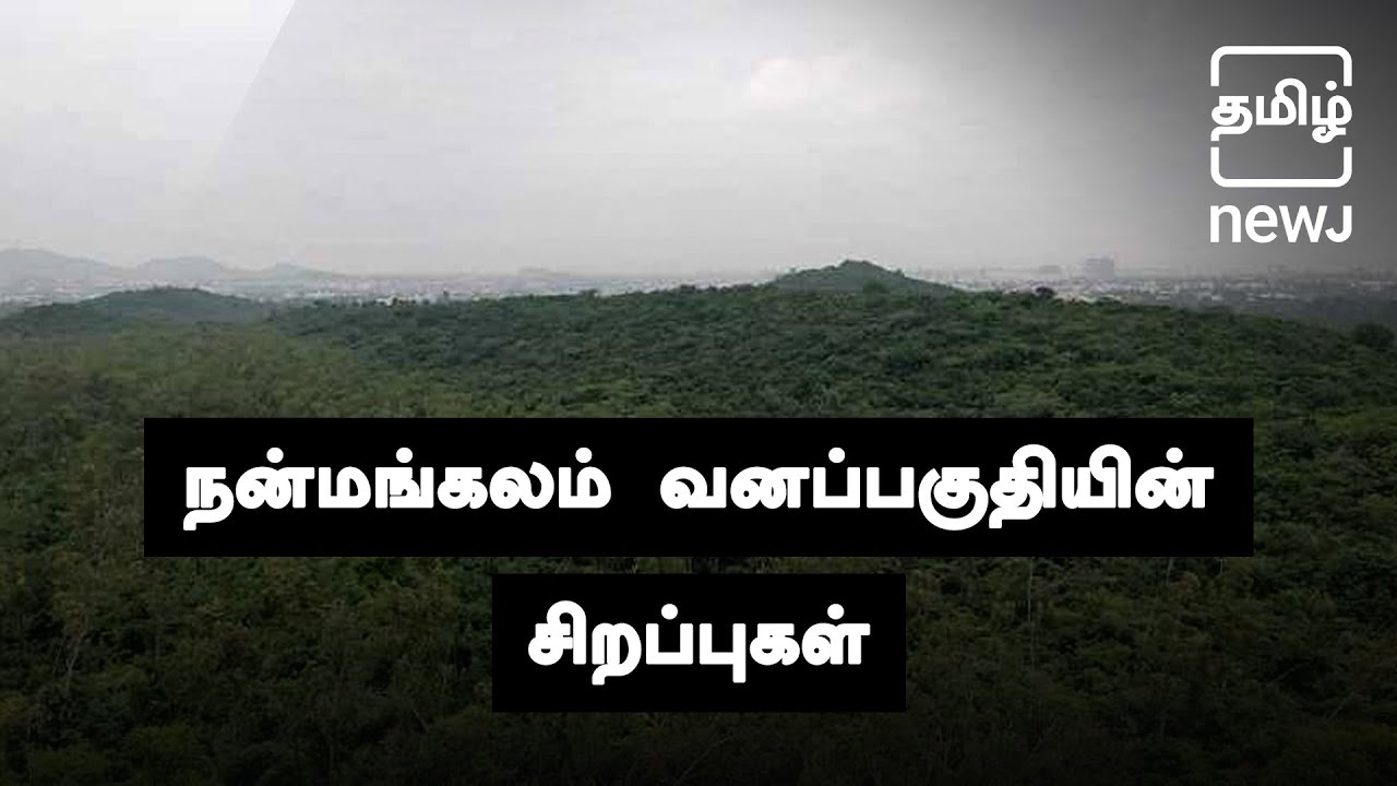 Nanmangalam Forest, Chennai | நன்மங்கலம் வனப்பகுதி | Tamil NEWJ - YouTube