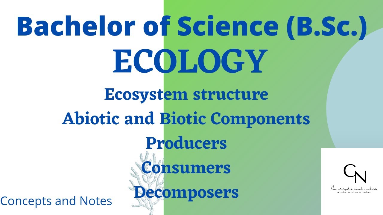 Ecosystem structure || Biotic & Abiotic Components || Producers ...