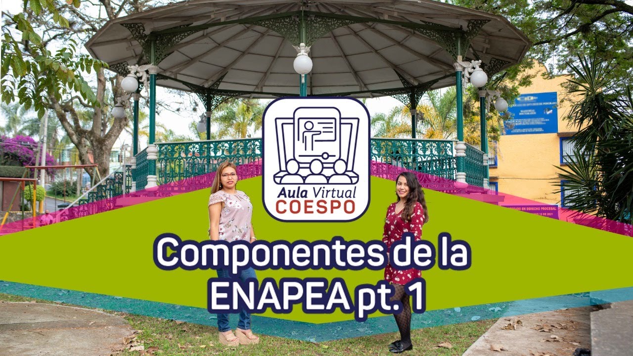 Aula Virtual COESPO 09 T3 Componentes de la ENAPEA (parte 1) - YouTube