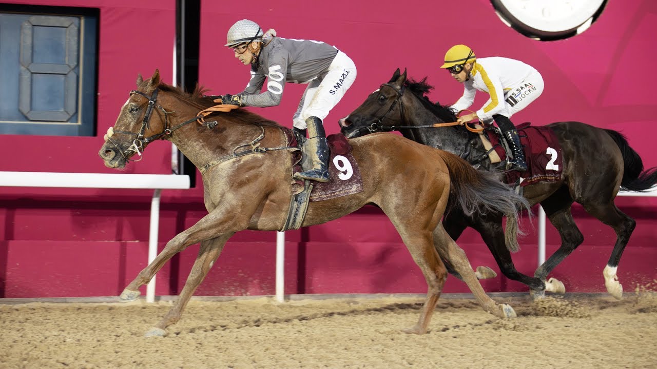 RM 3 Al Rayyan Race 2 - Asherij Cup - YouTube