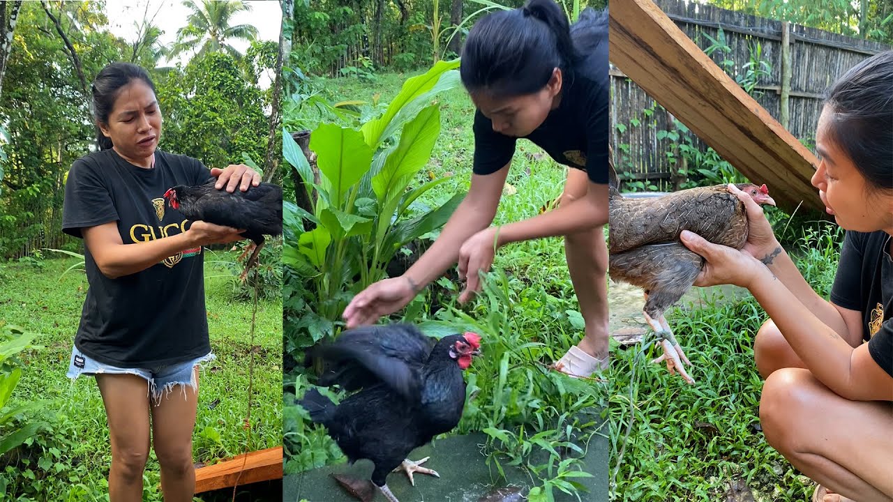 BINIGYAN AKO NG MANOK NG MAHAL KO! - YouTube