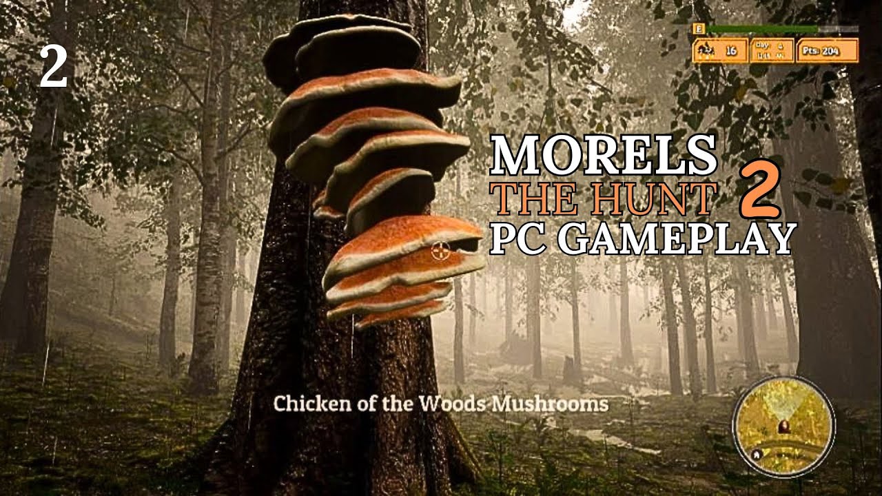 A game where you look for Morels: The Hunt 2 Gameplay | Adventure ...