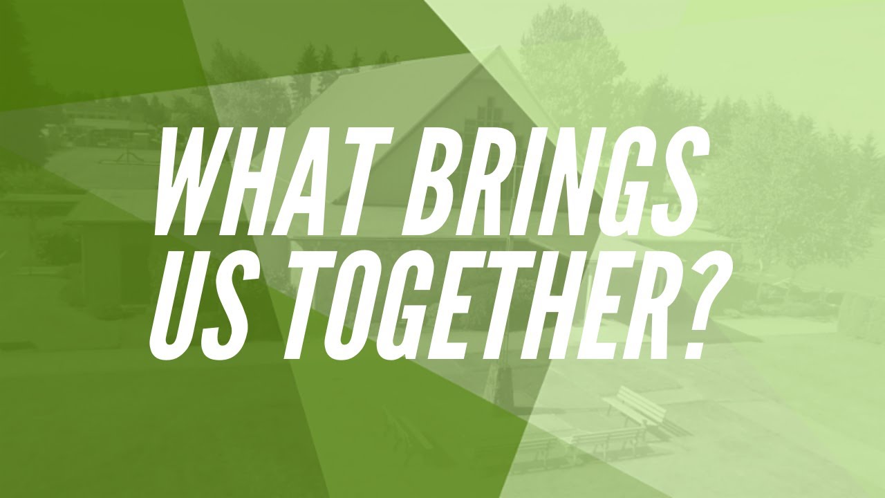 What Brings Us Together YouTube what-brings-us-together-youtube