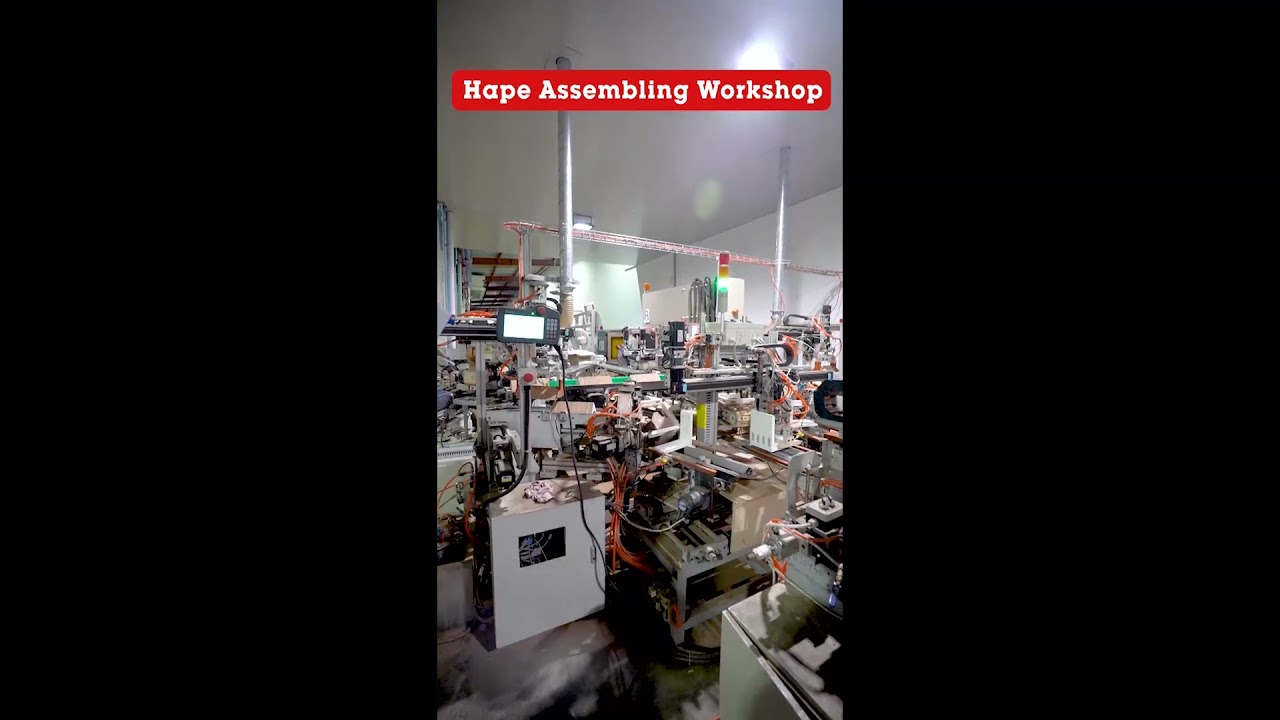 Hape CEO & Founder Peter Handstein takes you to the Hape company-5 ...