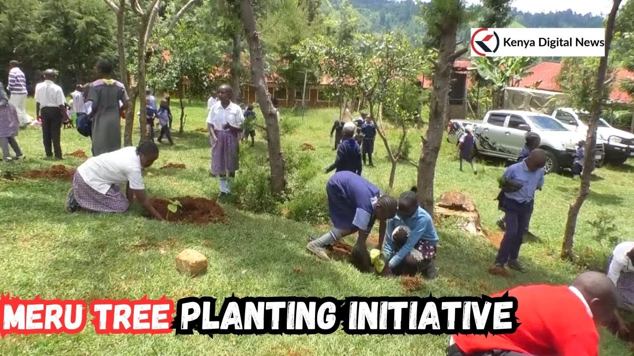 Meru Schools Launch Pilot Tree Planting Project, Targeting 15 Million ...