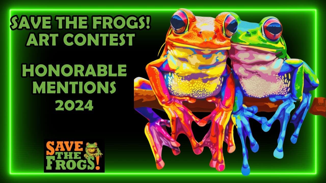 SAVE THE FROGS! Art Contest - Honorable Mentions 2024 - YouTube