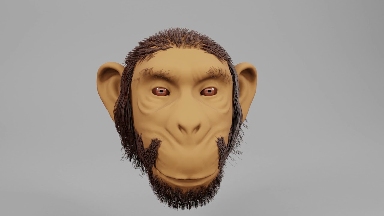 Chimpanzee Hair & fur Testing - YouTube