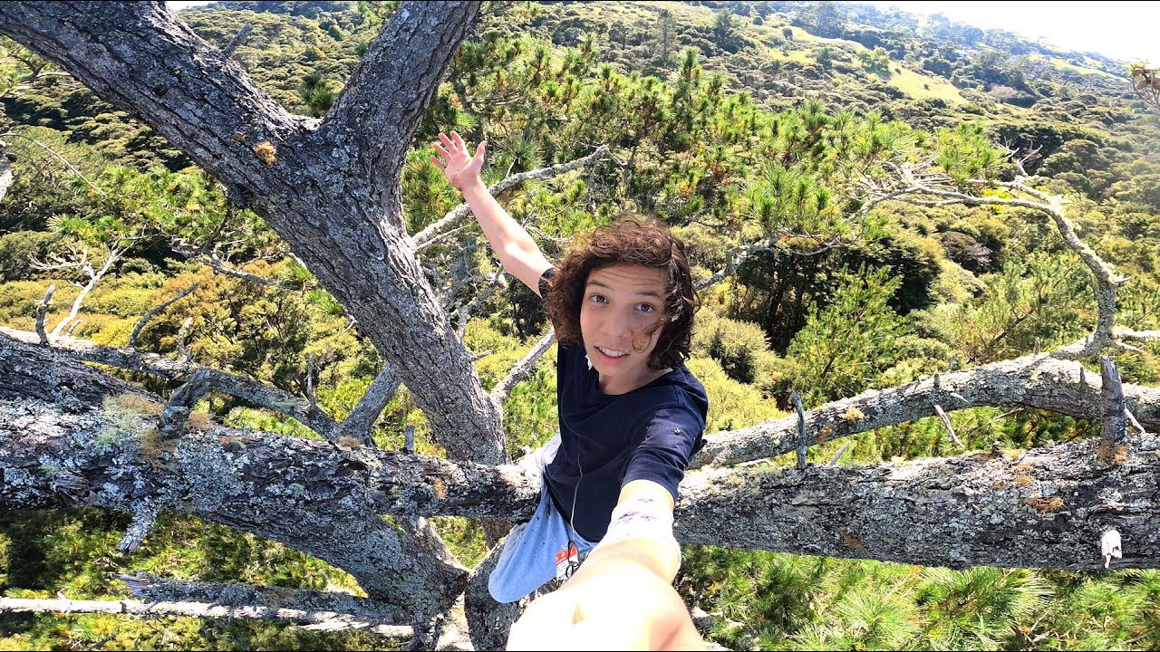 Crazy, Scary Tree Climb (Free Climbing) - YouTube