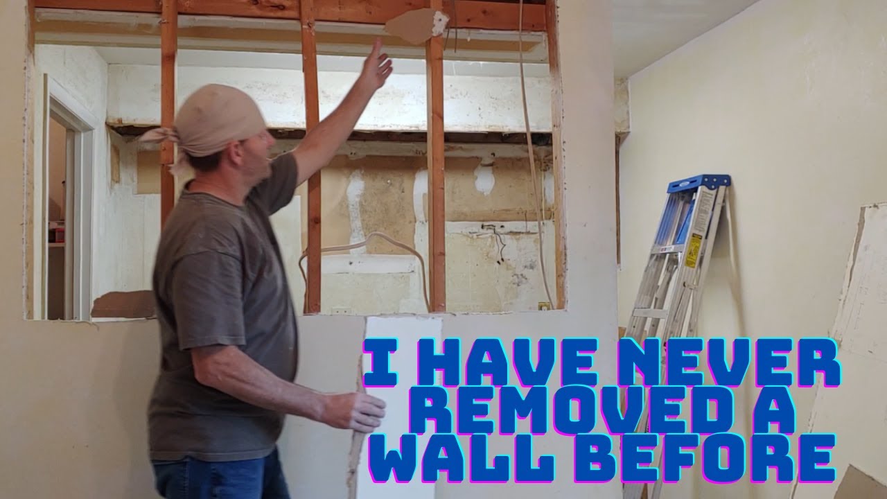 WALL REMOVAL NO EXPERIENCE HOME RENOVATION WHAT CAN O WRONG? THE MOLD ...