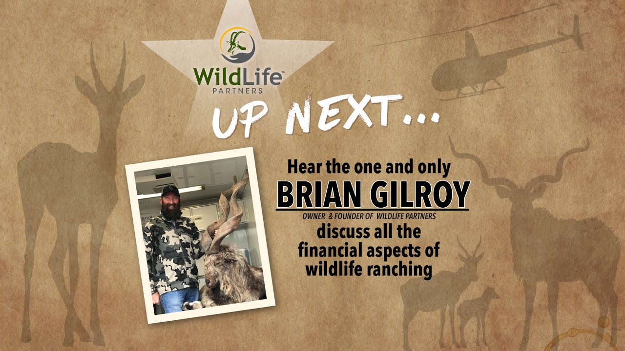 Brian Gilroy presents "Investing in Exotic Wildlife" - YouTube