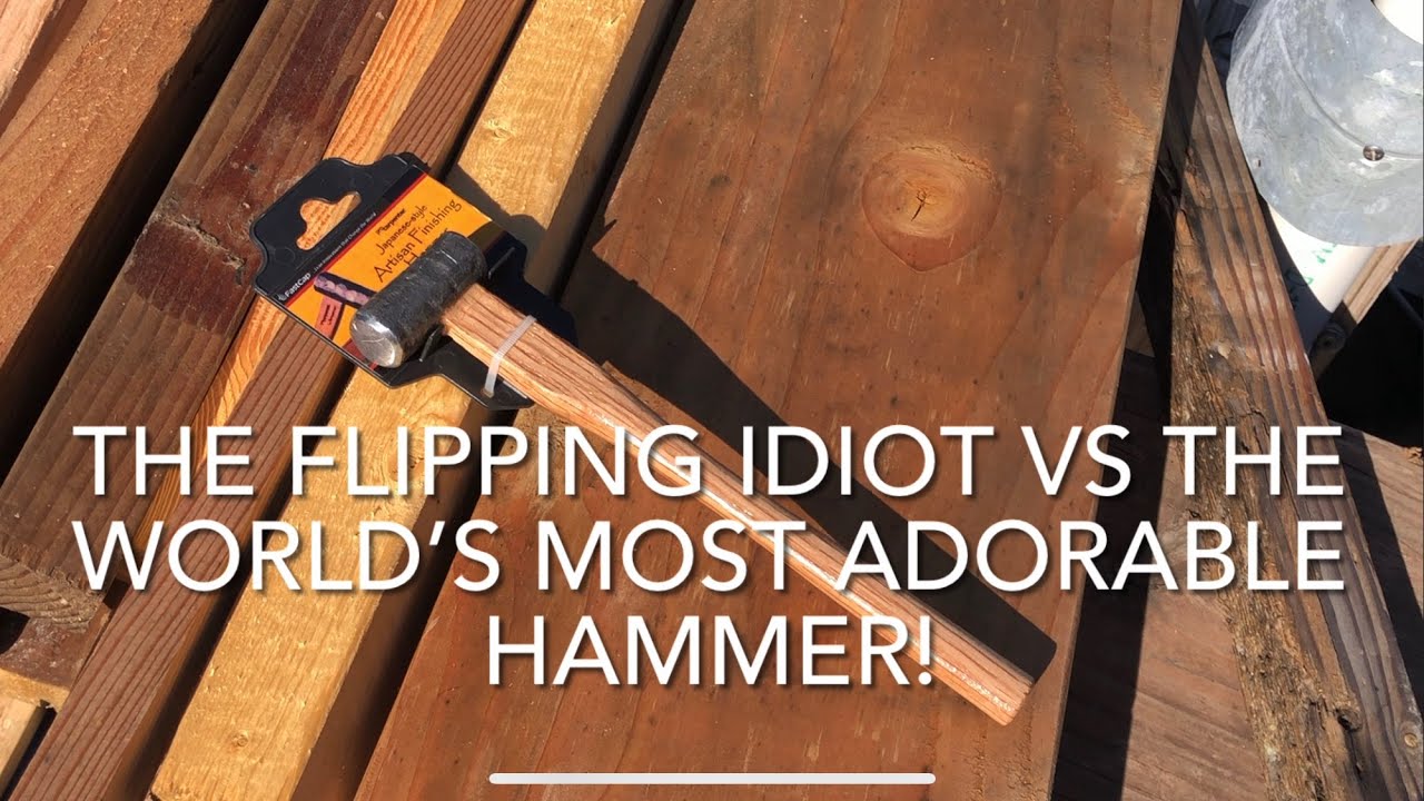 THE FLIPPING IDIOT VS THE WORLD’S MOST ADORABLE HAMMER! - YouTube