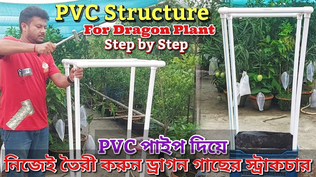 PVC দিয়ে খুব সহজে তৈরী করুন ড্রাগনগাছের স্ট্রাকচার।How to build PVC ...