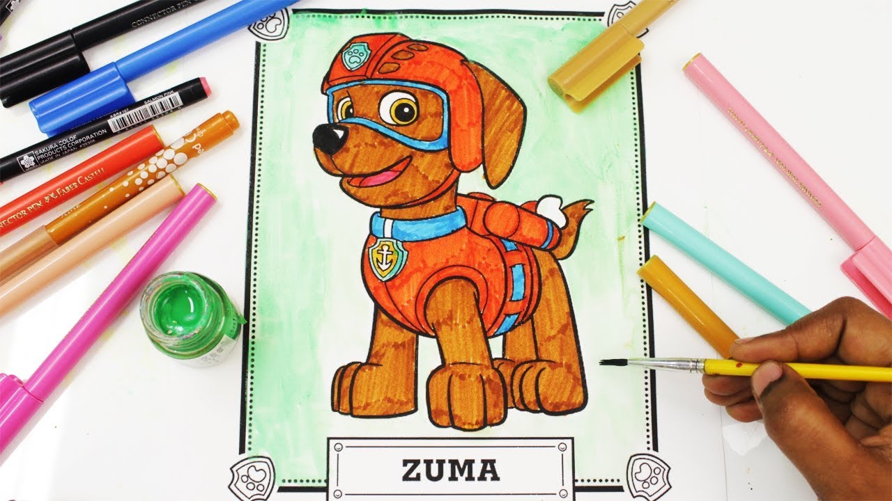 Paw Patrol colouring Book Zuma Pup Episode Show Surprise Egg and Toy ...