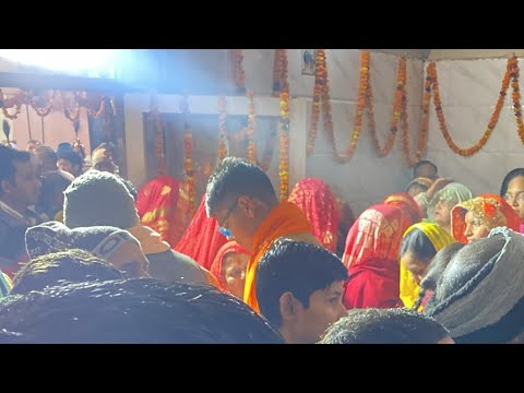 Dadu ram Dera baba bawani khera live | Basant Punchmi celebration - YouTube