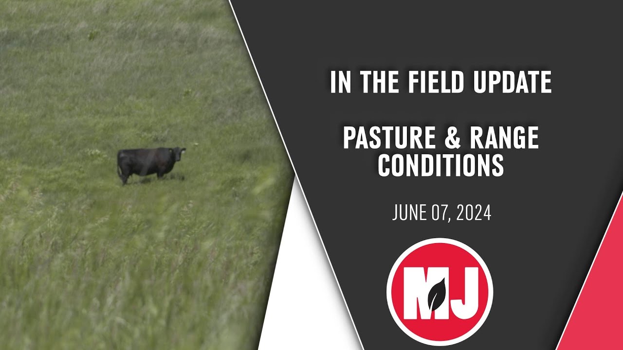 In The Field Update | Pasture and Range Conditions | June 07, 2024 ...