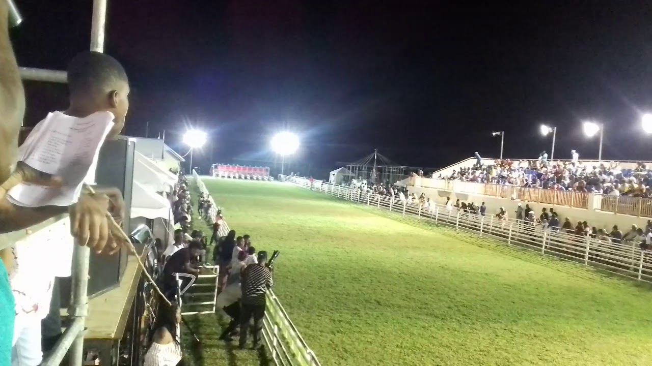 Tobago goat race 2019 - YouTube