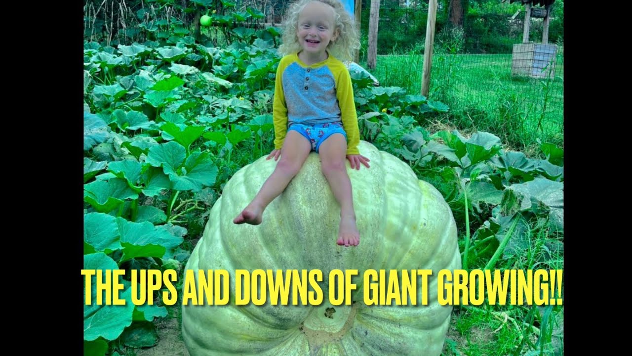 Giant Growing is full of surprises!! - YouTube