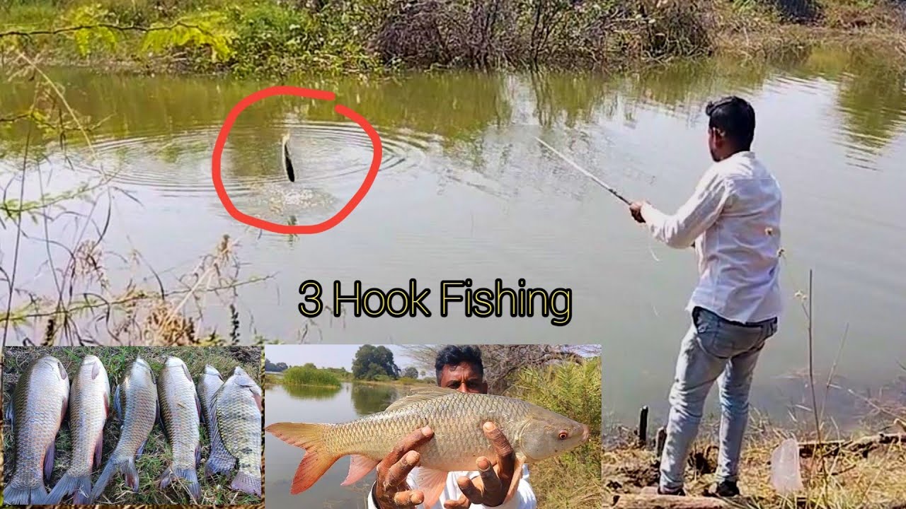 Triple Hook Fishing Techniques | Best Fishing Videos | Rohu Fish ...