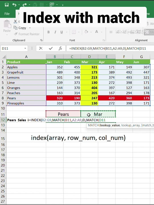 index Array with match function #excelsupport #excelsolutions #excel #excelformula #exceltricks ...