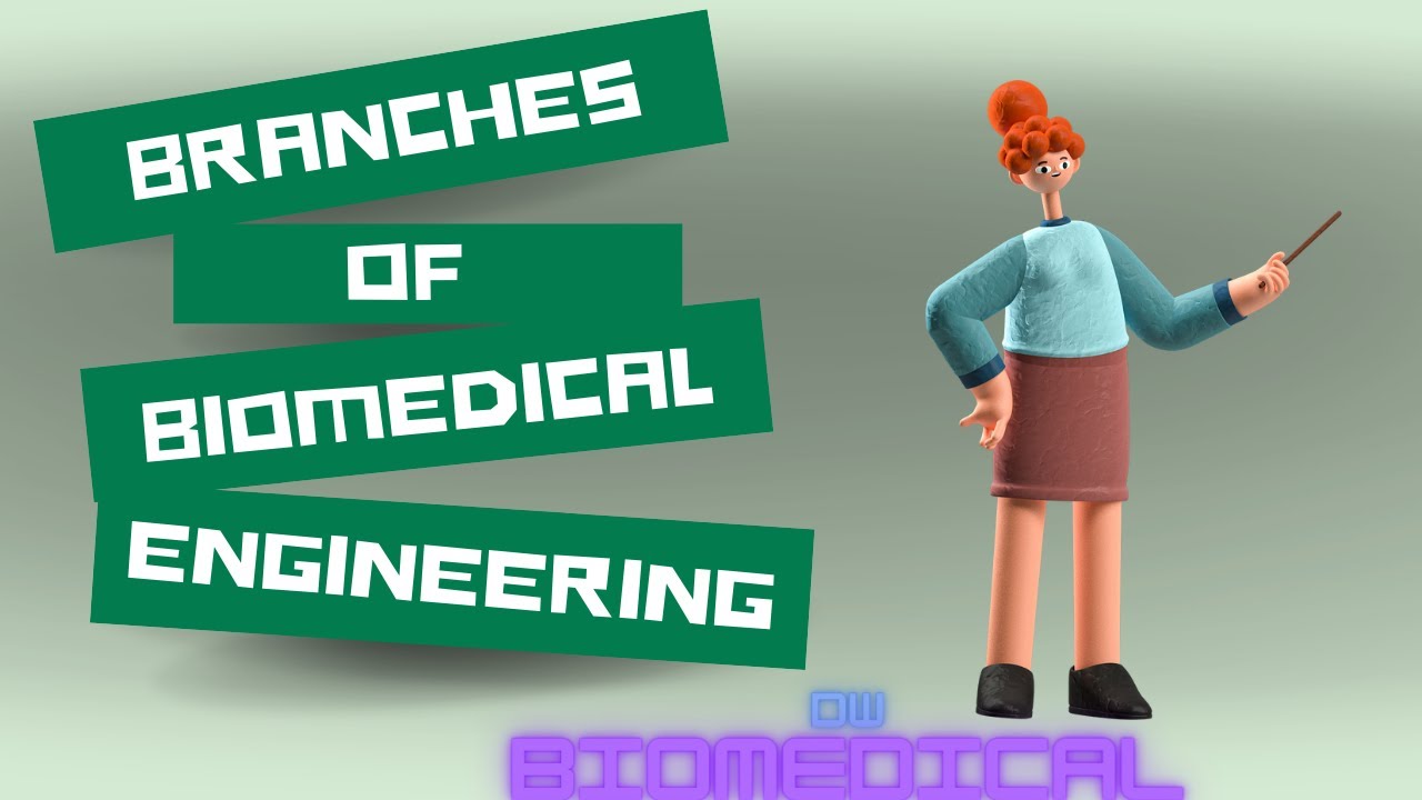 Branches of biomedical engineering - YouTube