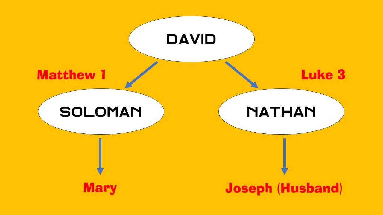 Lineage Matthew 1 and Luke 3, The Truth, As It Is Written, Check Out ...