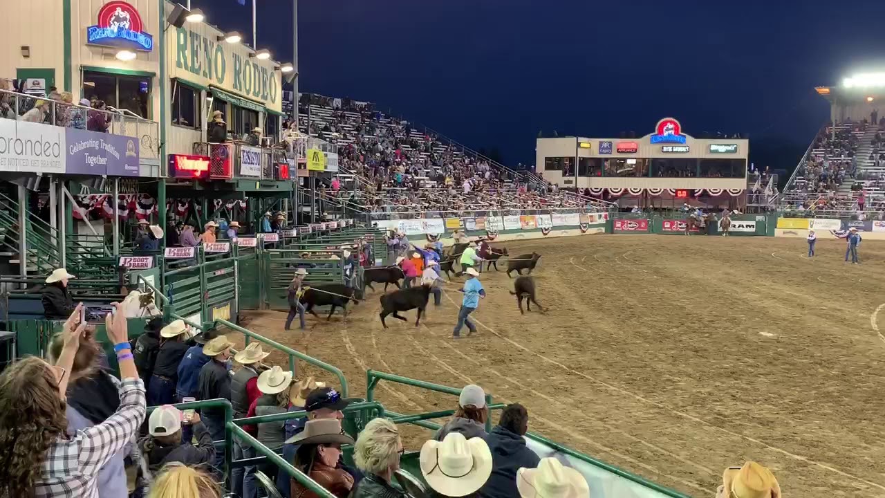 GSR Steer Decorating Reno Rodeo 2019 - YouTube