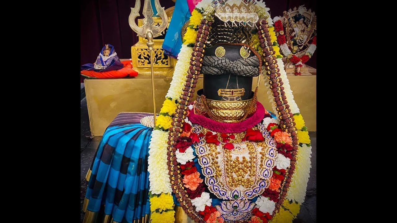 Special Rudrabhishekam - Shivaratri 2021 - YouTube