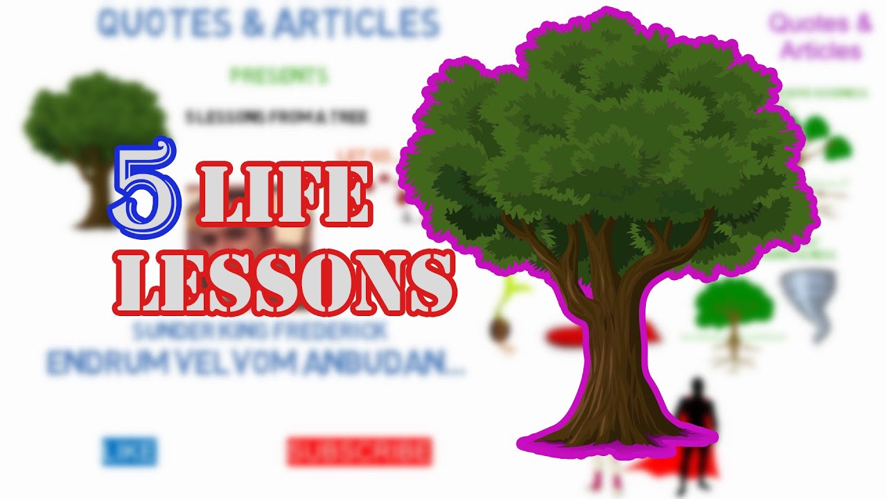5 LIFE Lessons From A TREE | WHITEBOARD Animation - YouTube