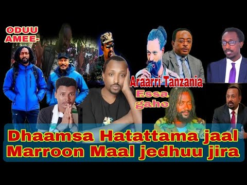Jaal Marro.n Kallattiin Tanzania irraa -Dhaamsa Jabaduu Dubbate ONM ABO ...