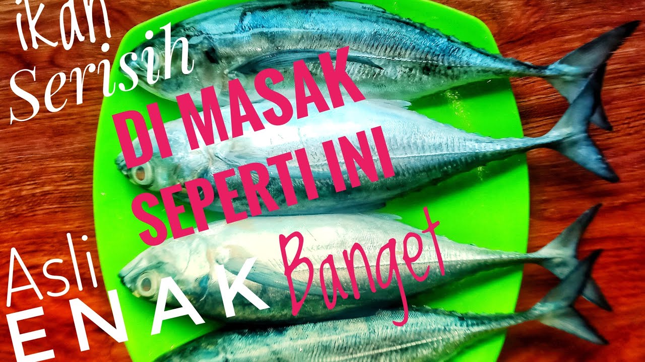 ikan serisih di masak seperti ini enak banget // ikan tetengkek//ikan ...