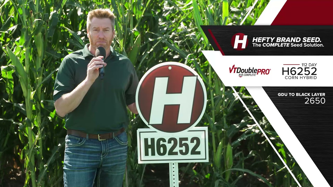 Hefty Brand Corn H6252 - YouTube