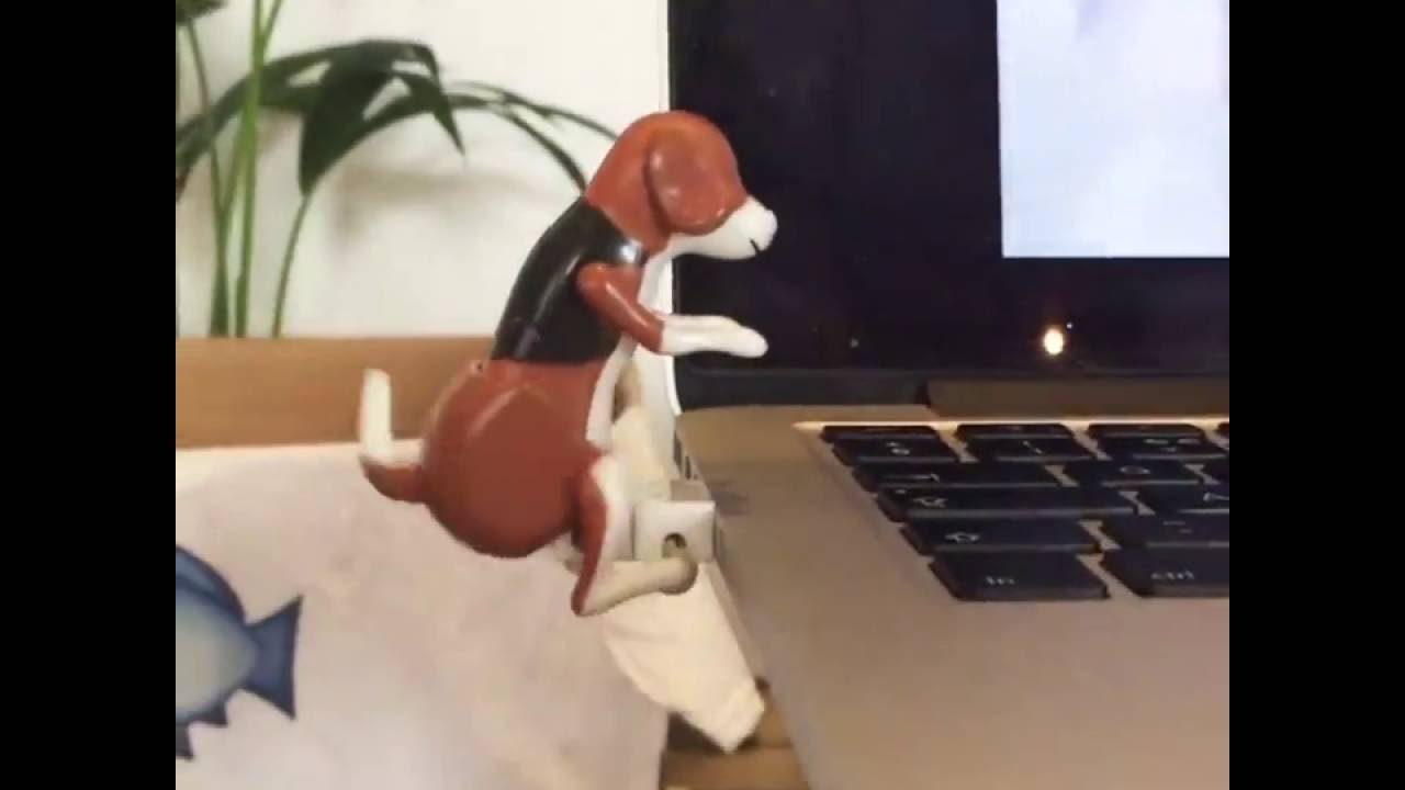 WANT! Awesome Dog Humping USB Flash Drive[EKM.CO] - YouTube