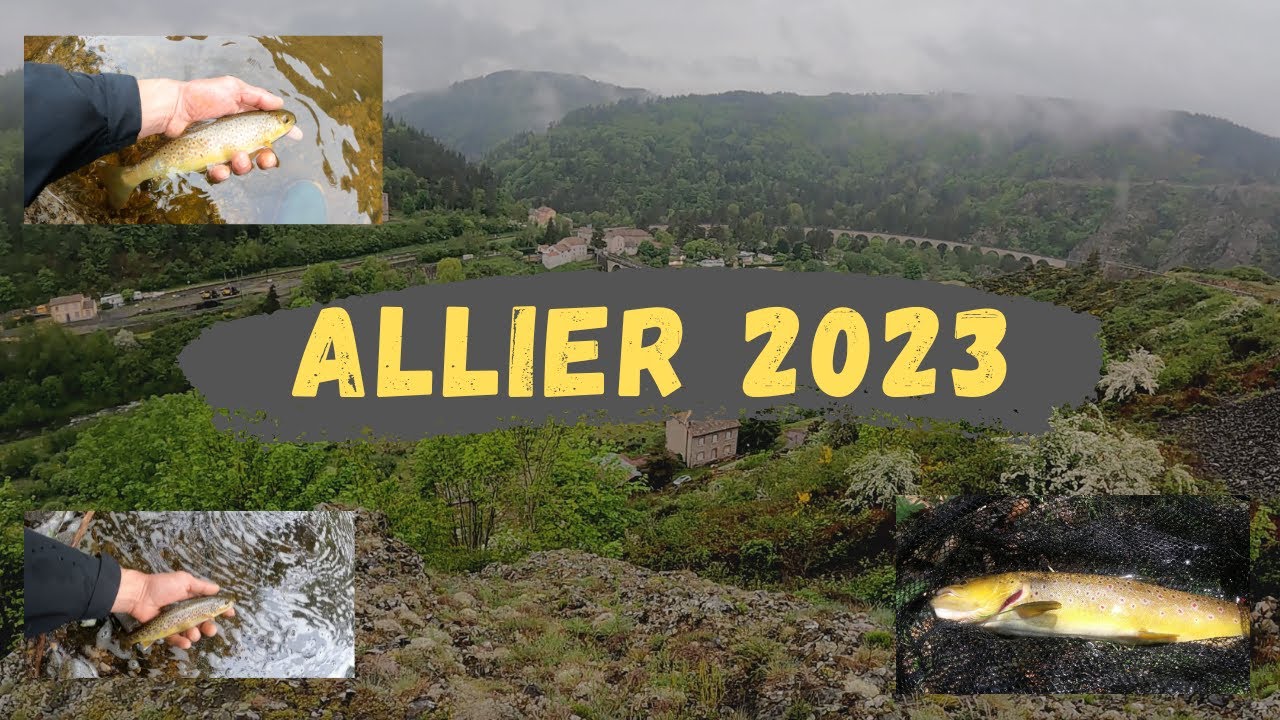 Pêche Allier 2023 - YouTube