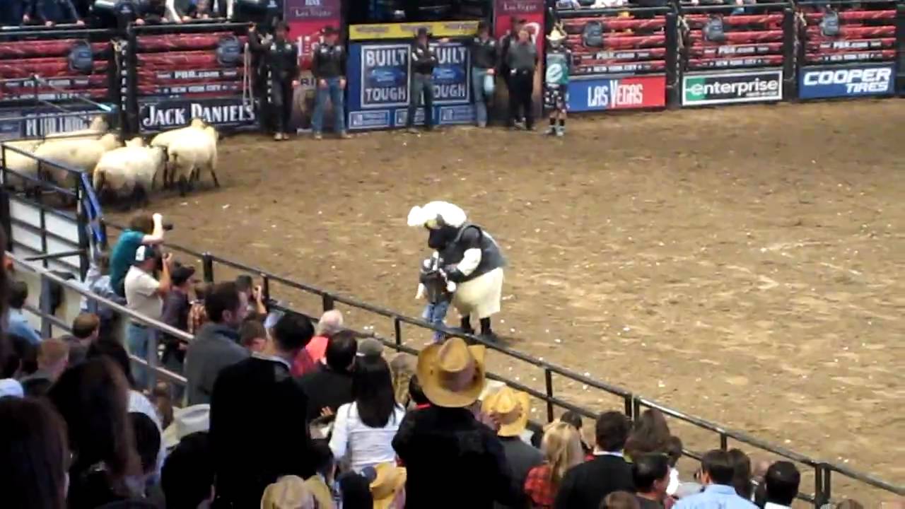 Rodeo 2 - kid riding sheep - YouTube