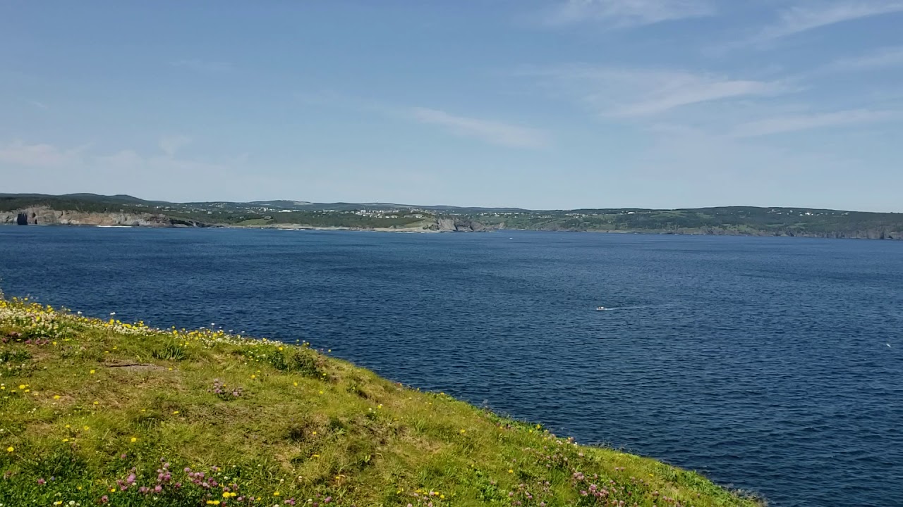Cobblers Path - Torbay Point. East Coast Trail. - YouTube