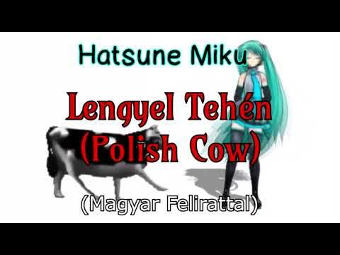 Hatsune Miku - Polish Cow (Magyar Felirattal) - YouTube