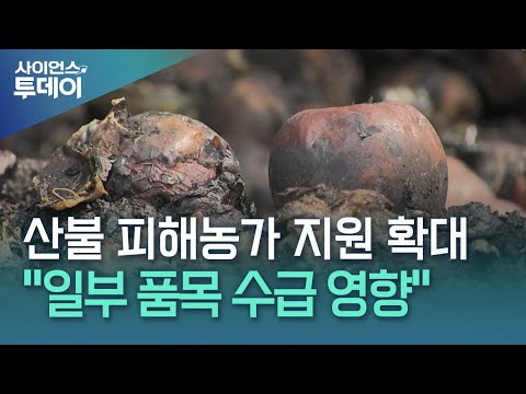 산불 피해농가 4천억 원 신속 지원...생계비 120만∼187만 원 지급 / YTN 사이언스 - YouTube