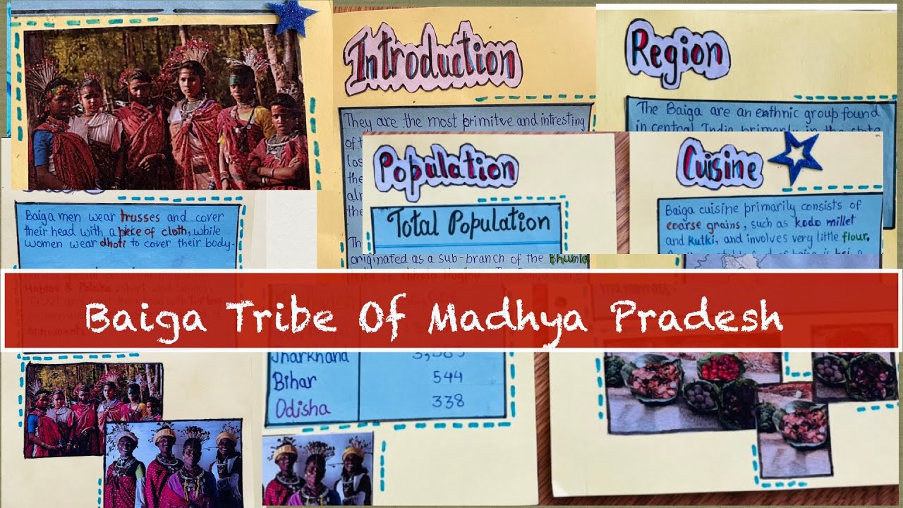 Baiga Tribe Madhya Pradesh Project || Educational Project || Tribes of ...