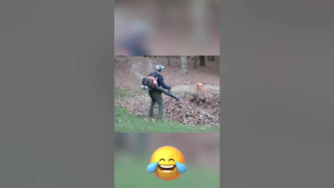 Wtf Funny 7 Funny Fuunyshorts Youtube