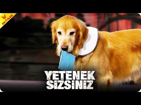 Çalışkan Köpek Bolo'dan Sevimli Gösteri | Yetenek Sizsiniz Türkiye