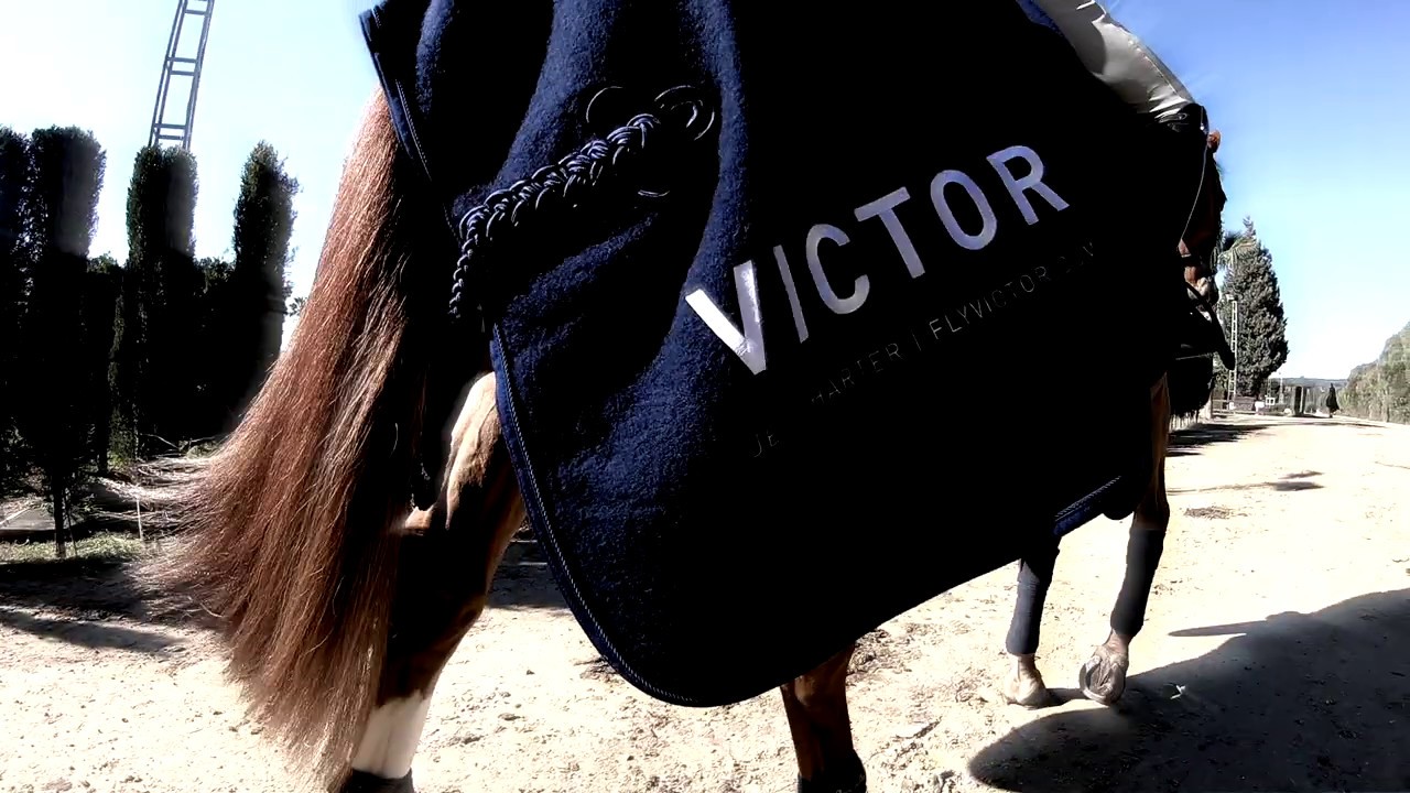 Tim Wilks Trailer | Sunshine Tour - YouTube