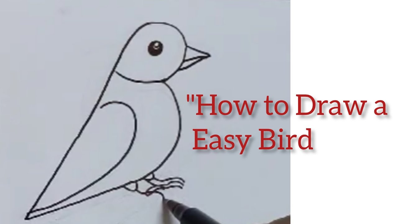 How to Draw a Simple Sparrow | Easy Bird Drawing #khushiarthouse - YouTube