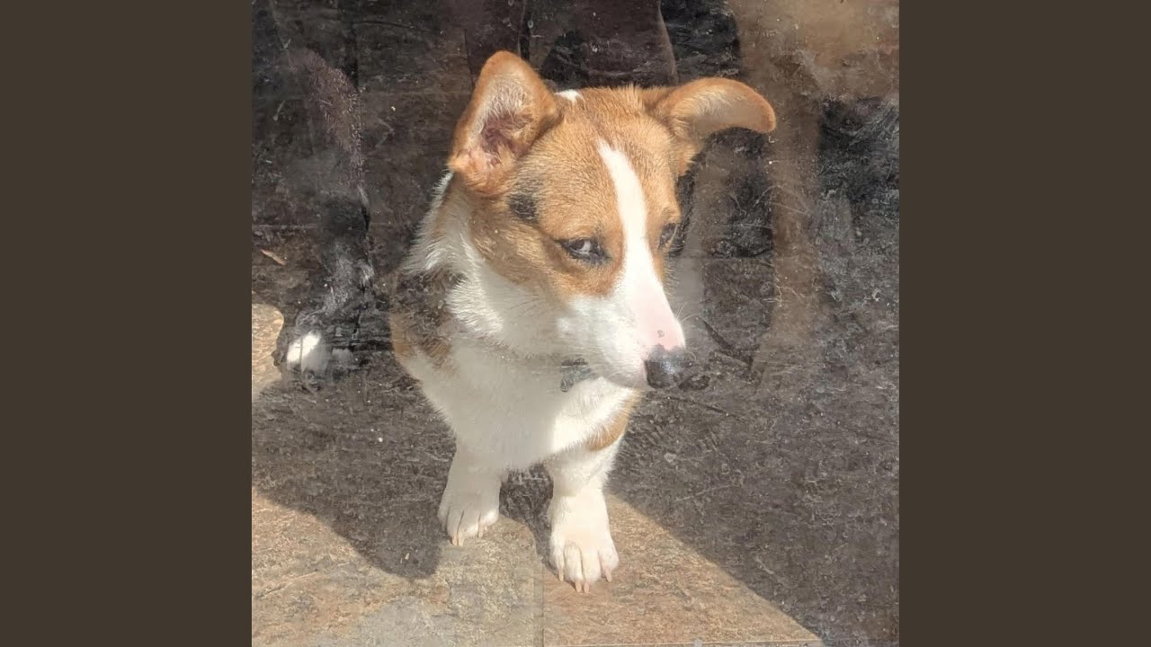 Problem Solver - YouTube