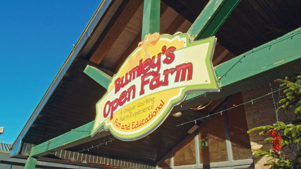 Rumley's Open Farm - YouTube