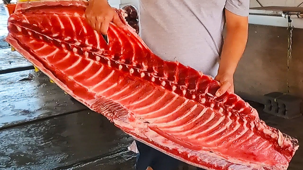 Amazing Food Recipes!The best bluefin tuna keel you'll ever eat - YouTube