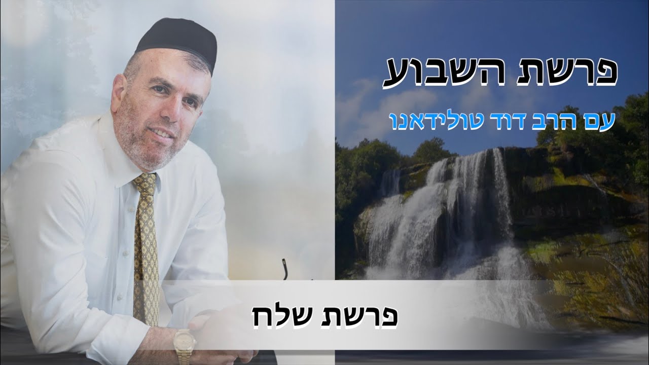 Rabbi David Toledano - THE WEEKLY SHIUR פרשת שלח - YouTube