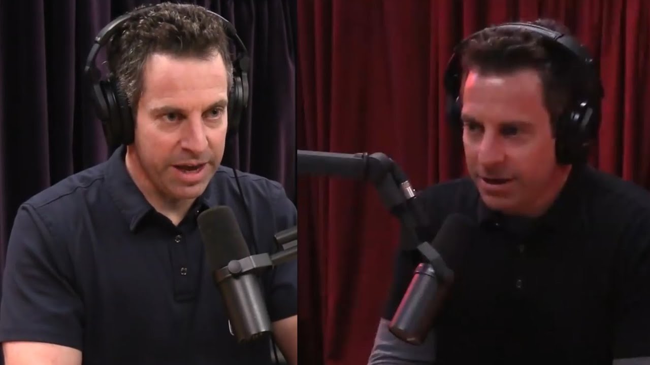 Sam Harris DEBATES Ham Sarris on a podcast - YouTube