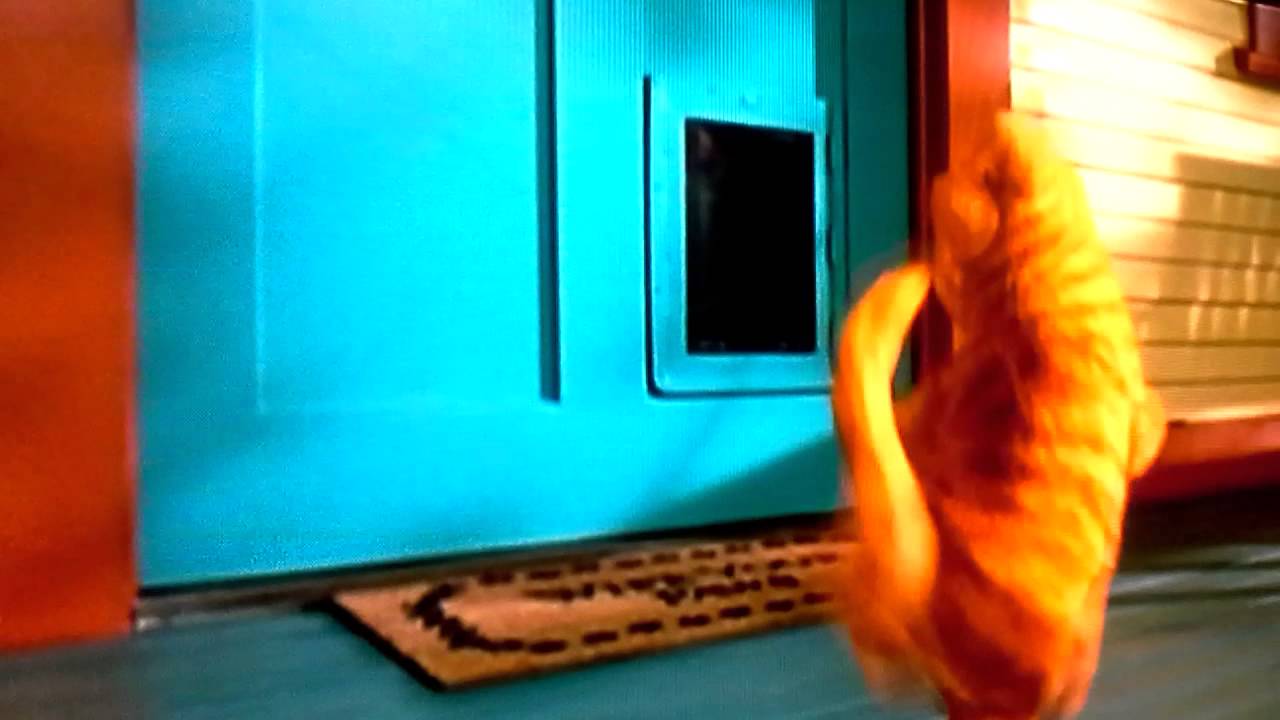 Garfield the same time ! - YouTube